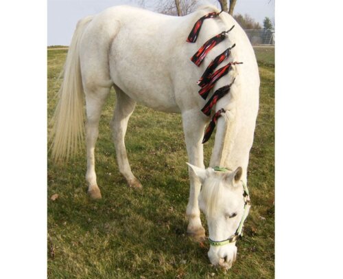 Horse mane bags will give you the luxurious mane that you want