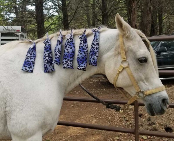 Horse mane bags will give you the luxurious mane that you want