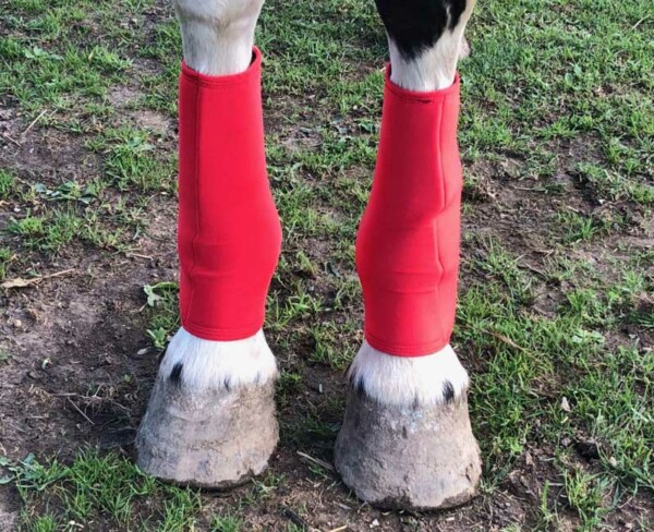 Horse sleazys for ease of grooming - Sleezy Barb Horsewear