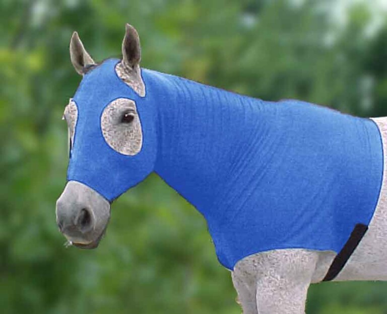 Face mask for horses are perfect to create a team or "unified" look.