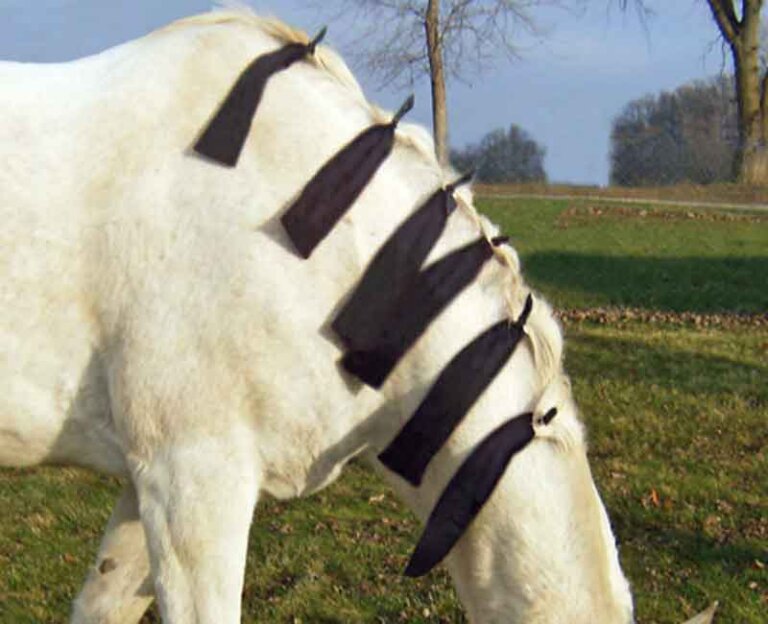 Horse mane bags will give you the luxurious mane that you want