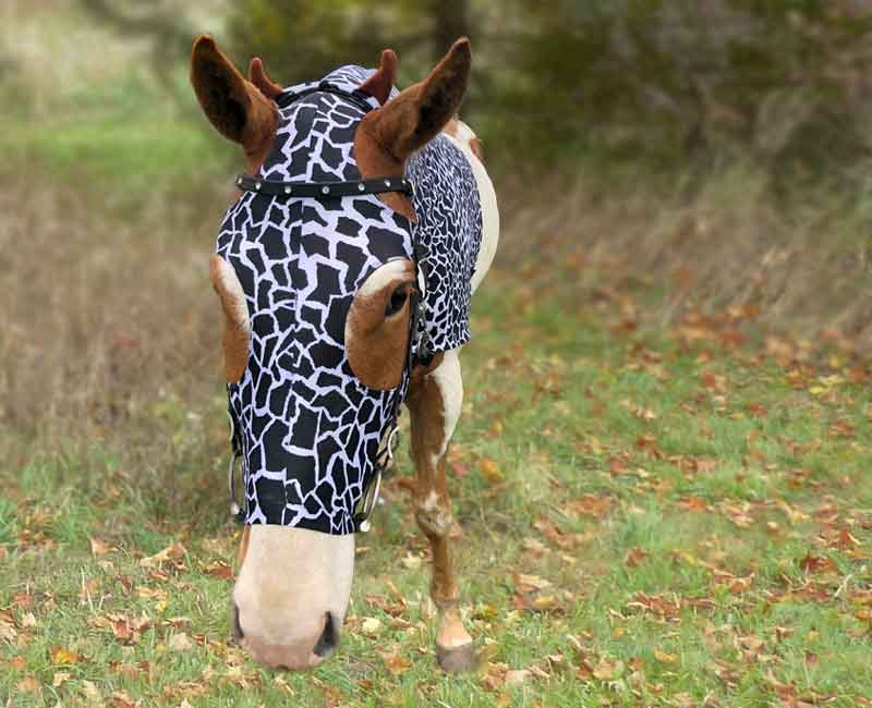 Cow Horse Costume and look like an adorable cow