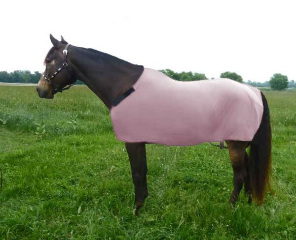 Pony Body Suit designed especially for ponies & young horses