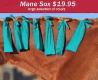 Premium lycra horse wear - Custom clothing for your special horse!